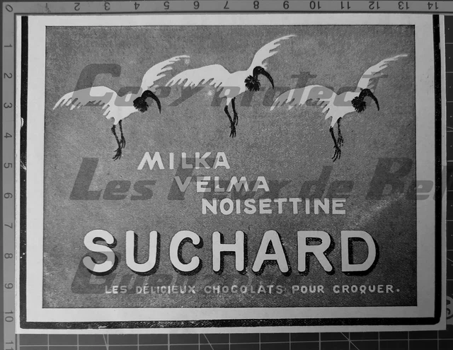 SUCHARD MILKA VELMA NOISETTINE CHOCOLAT 1908 publicité advert EUR 8,00 ...