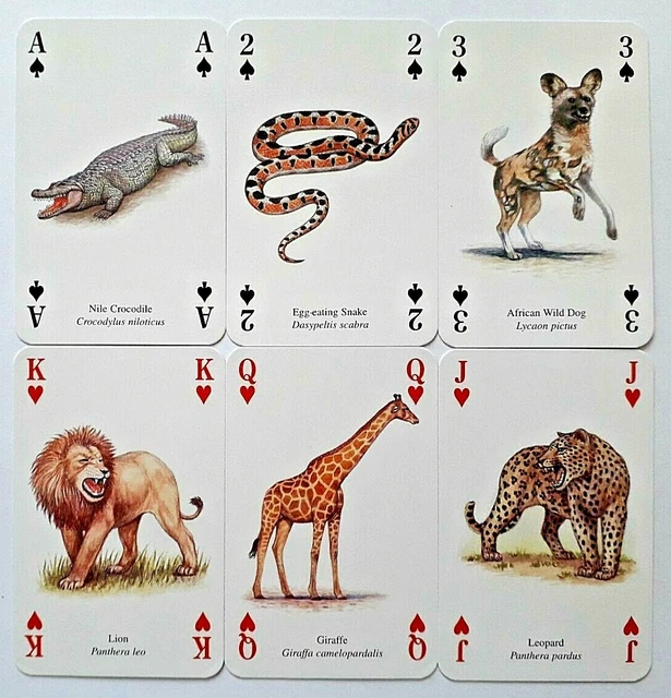 PLAYING CARDS 2000 African Animals 52 & 2 Joker Cards And Box Freepost ...