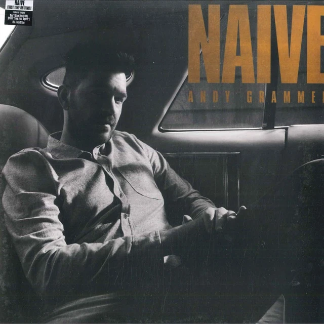 LP ANDY GRAMMER Naive 538927001 BMG US EUR 33,84 - PicClick FR