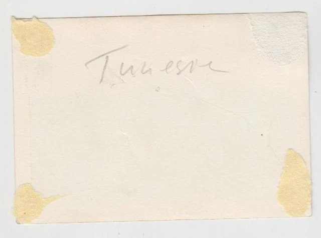 FOTO 2WK DAK Afrikakorps Afrika Korps Mareth-Linie Gabeslinie Tarnung ...