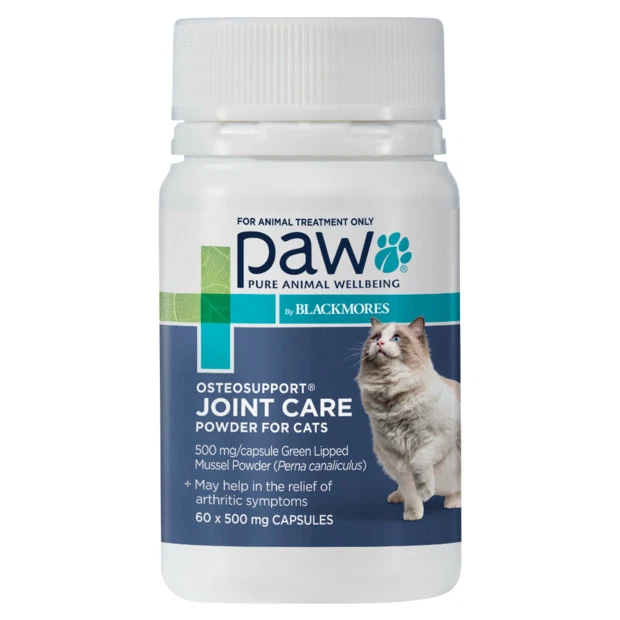 BLACKMORES PAW OSTEOSUPPORT Cat 60 Capsules | Joint Care AU $57.99 ...