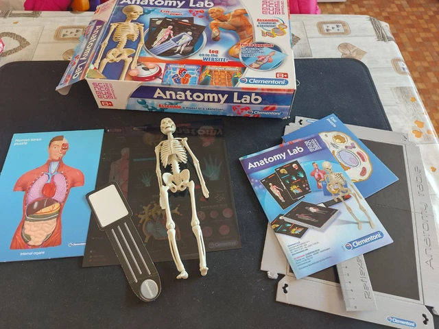 SCIENCE MUSEUM APPROVED Anatomy Lab X-ray Skeleton Viewer And Bones £5. ...