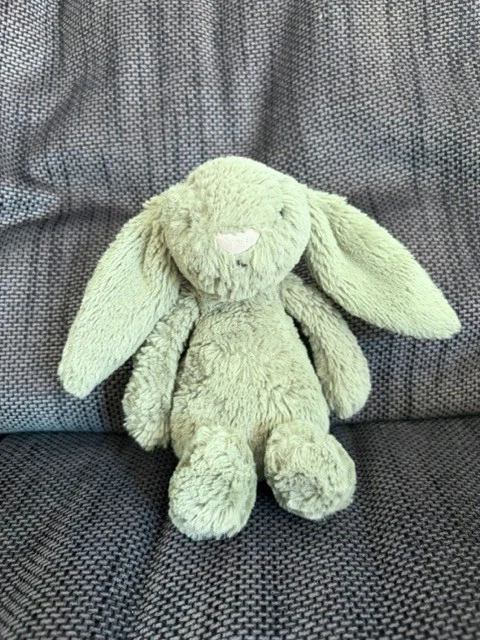 AUTHENTIC JELLYCAT SMALL Fern Green Bashful Bunny Soft Plush Toy £45.00 ...