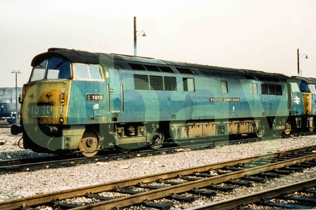 UK DIESEL TRAIN Railway Photograph Of Class 52 Western D1010. Rm52-36 £ ...