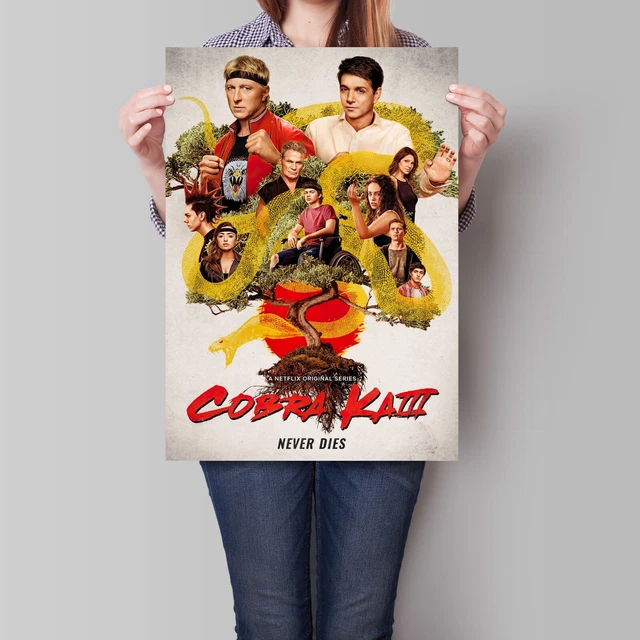 COBRA KAI POSTER TV Series Ralph Macchio William Zabka A2 A3 £14.16 - PicClick UK
