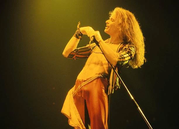 DAVID LEE ROTH From Van Halen At The Palladium In New York 1983 Old ...