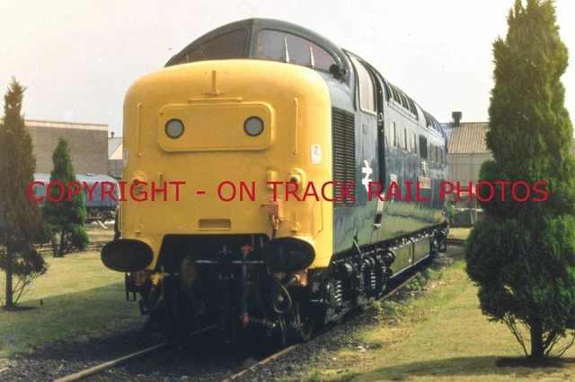 UK RAILWAY PHOTOGRAPH Of Class 55 Deltic 55004. Rm55-118 £1.70 ...