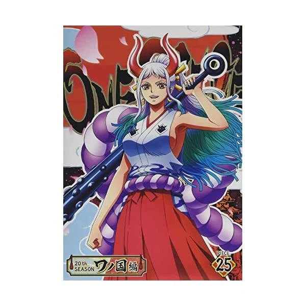 ONE PIECE ONE Piece 20th Season Wano Country Piece.25 DVD EUR 46,16 - PicClick FR