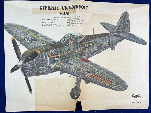 P-47D REPUBLIC THUNDERBOLT Flying Cutaway Drawing Vintage WWII Aircraft ...
