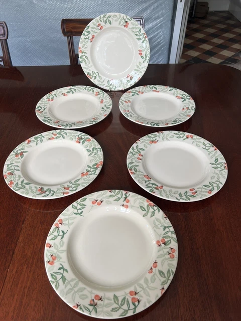 RARE EMMA BRIDGEWATER Rosehip Plates. Set Of 6 £60.00 - PicClick UK