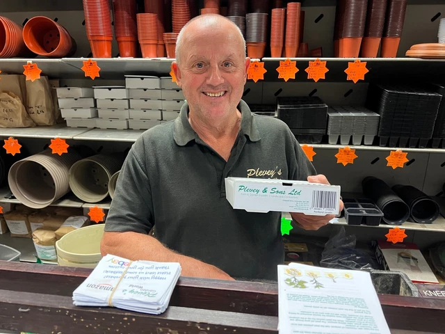 RED BARON SPRING Planting Onion Sets - 2026 Stock £8.49 - PicClick UK