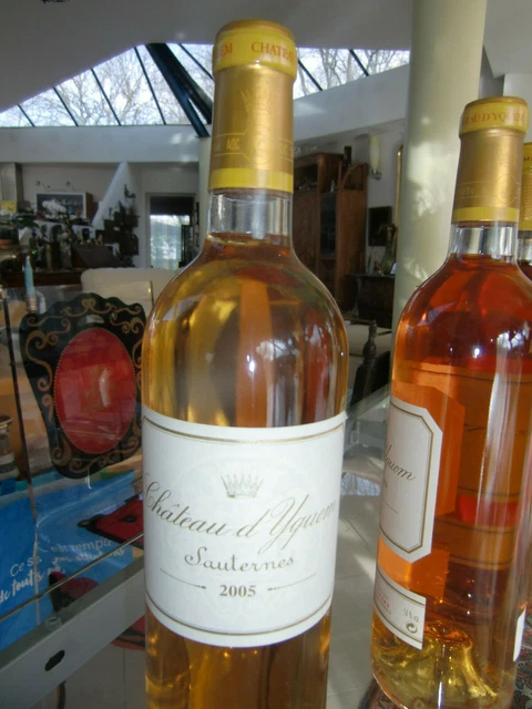 CHATEAU D'YQUEM 2005 SAUTERNES LUR SALUCES SUPERBE PARFAIT NIVEAU TRES ...