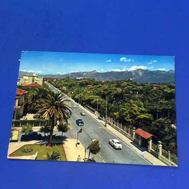 LIDO DI CAMAIORE Viale Colombo Pineta Cartolina A Colori EUR 4,85 ...