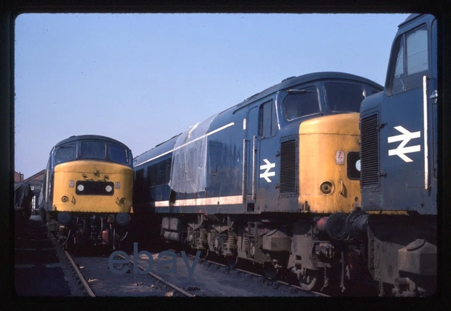 ORIGINAL 35MM SLIDE - Peak locos 45015, 45121 & 45114 at Derby works 12 ...