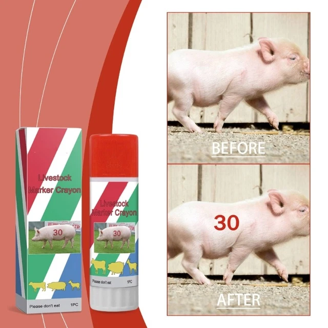 LIVESTOCK MARKER CRAYON Livestock Drawing Pen Livestock Marking ...