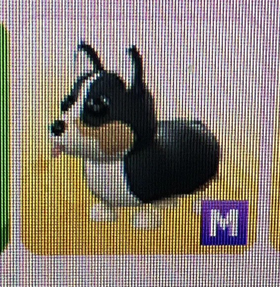 MEGA NEON ROYAL Corgi From Royal Palace 2022 (out-of-game) EUR 15,25 ... MEGA NEON ROYAL Corgi From Royal Palace 2022 (out-of-game) EUR 15,25 ...