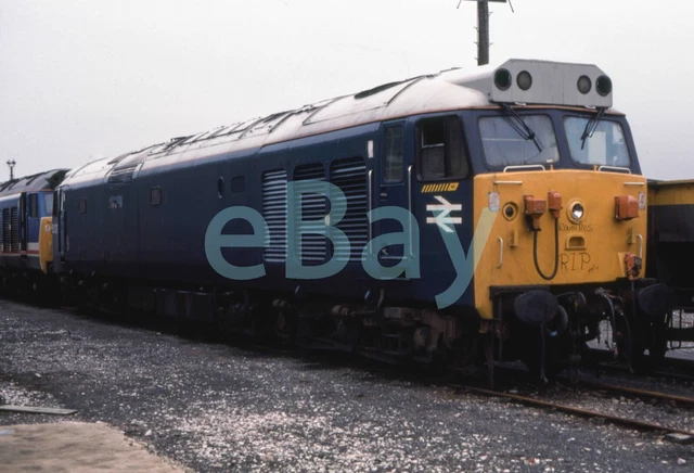 35MM RAILWAY SLIDE of Class 50 50008 @ Exeter Copyright to Buyer £4.99 ...