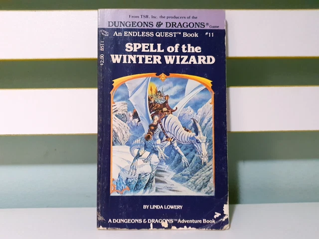 DUNGEONS & DRAGONS: Spell of the Winter Wizard! D&D Fantasy PB Book EUR ...