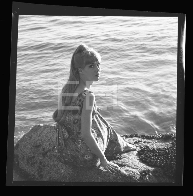 1967 BARBARA RANSOM Movie Actress Model by Harry Langdon Negative w ...