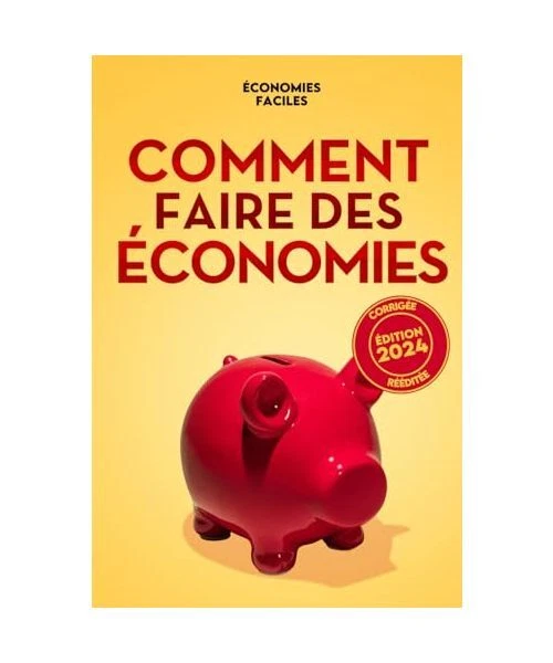 COMMENT FAIRE DES économies: Guide complet pour faire un budget, sortir ...