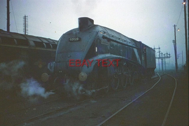 PHOTO LNER Class A4 Loco No 60029 Woodcock £2.25 - PicClick UK