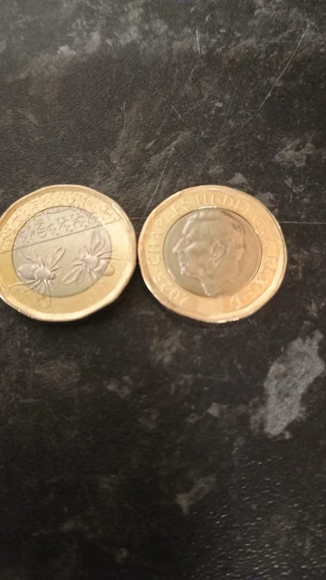 2023 & 2025 £1 Bee Coin Set Royal Mint £5.45 - PicClick UK