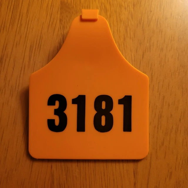 FINDING DORY ORANGE 3181 Transfer Tag - cute collector item film ...