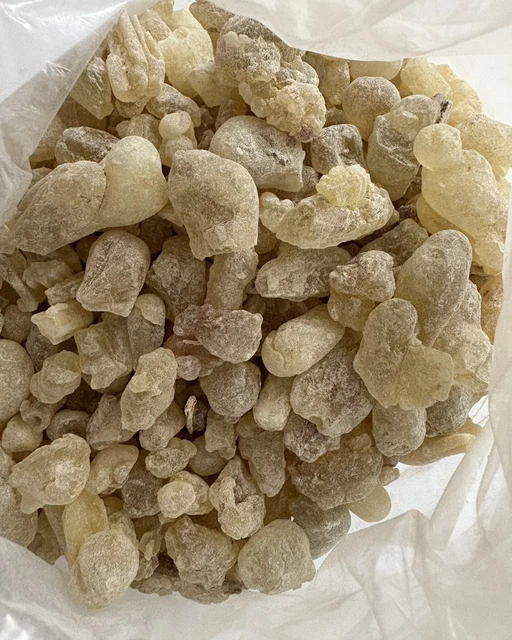 5 GR MASTIC Resin Chios Mastica Natural Premium Arabic Gum Top Grade ...