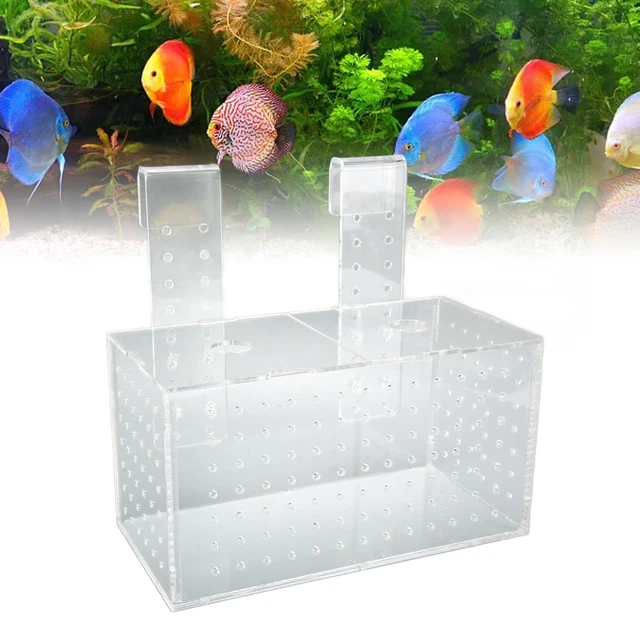 FISH BREEDING ISOLATION Box Transparent Hook Installation Acrylic ...