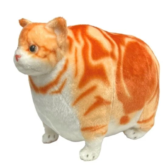 FATTY ZOO AMERICAN Shorthair Red Tabby Stuffed Doll Plush Toy From ...