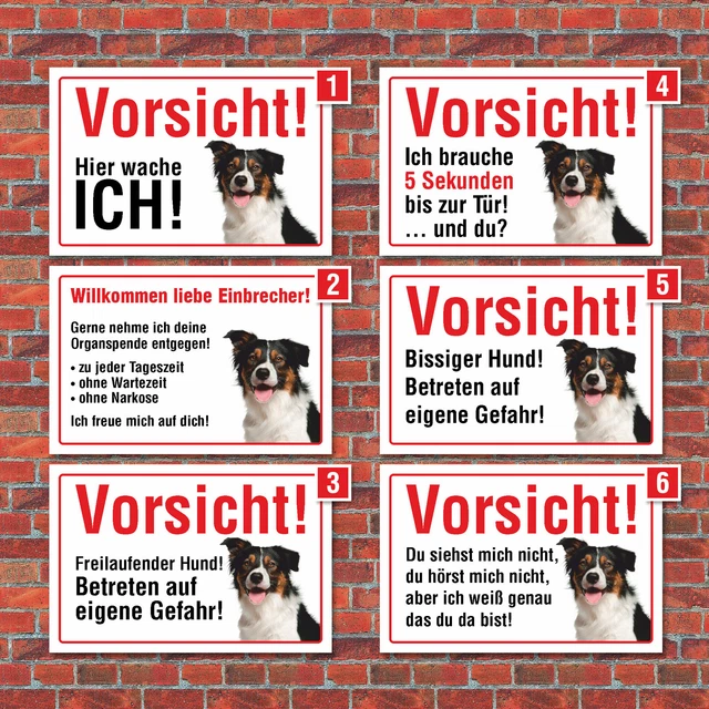 VORSICHT &HIER WACHE ich", Border Collie, Hund, Schild, Hinweis, 3 mm ...