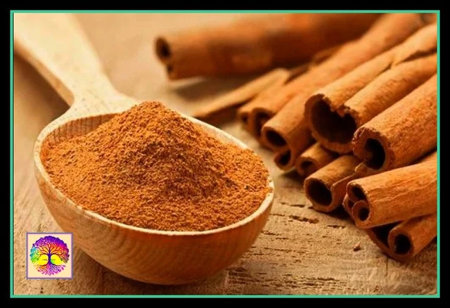 ORGANIC CEYLON CINNAMON Powder 100% Pure Bulk 200gm Spice Natural Top ...