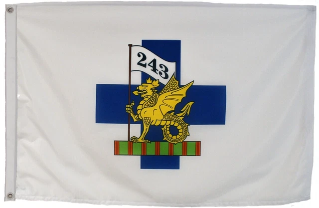 243 (WESSEX) MULTI-ROLE Medical Regiment British Army Flag 3'x2' - ONE ...