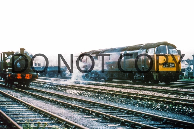 UK DIESEL TRAIN Railway Photograph Of Class 52 Western D1012. Rm52-42 £ ...