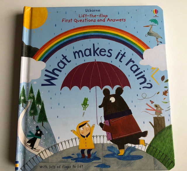 WHAT MAKES IT Rain? - Children’s Book, Lift The Flap, Usbourne, Weather ...