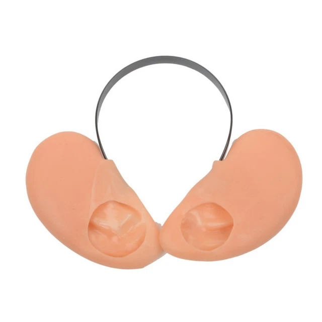 BIG EARS FANCY Dress Ears Giant King Charles Prince Celebrate ...