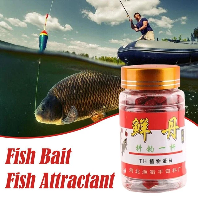 HOLLOW FISH BAIT for Fishing,Universal Fishing Attractant Scent Baits ...