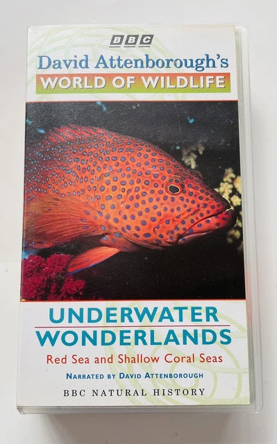 BBC 5728 DAVID Attenborough's World Of Wildlife 5 Underwater ...