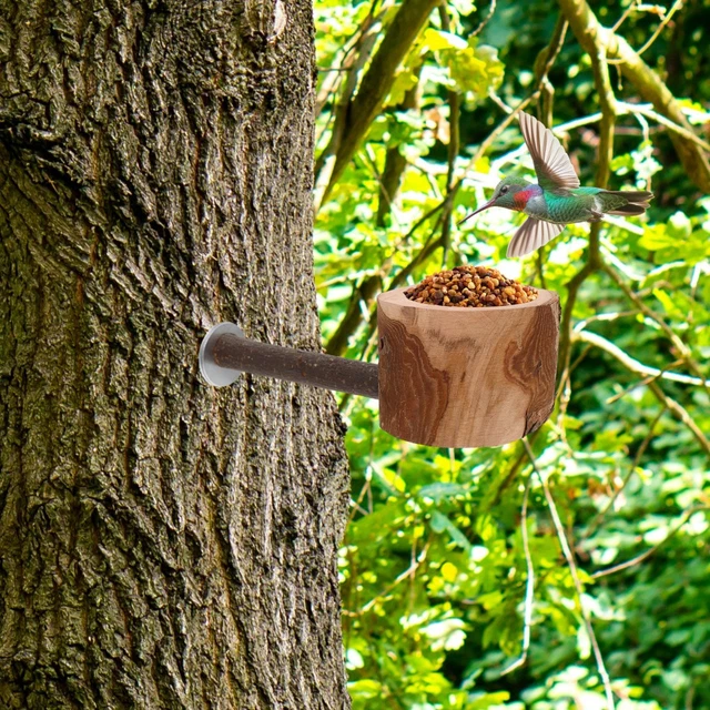 BIRD PERCH STAND with Food Bowls Apple Wood Bird Perch Bird Cage ...