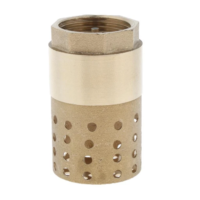 BRASS FOOT VALVE Mesh Check Valve w/ Holes Strainer Filter DN25 £10.69 ...