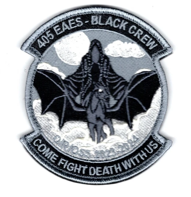 USAF PATCH AIR Force 405 Expeditionary Aeromedical Evacuation Sq W ...