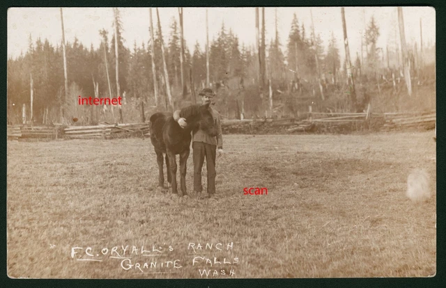 PHOTO POSTCARD RPPC,HORSE,COLT,F C Oryall Ranch,Granite Falls ...