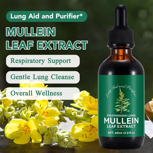 MULLEIN DROPS FOR Lungs - Mullein Leaf Extract with Chlorophyll for ...