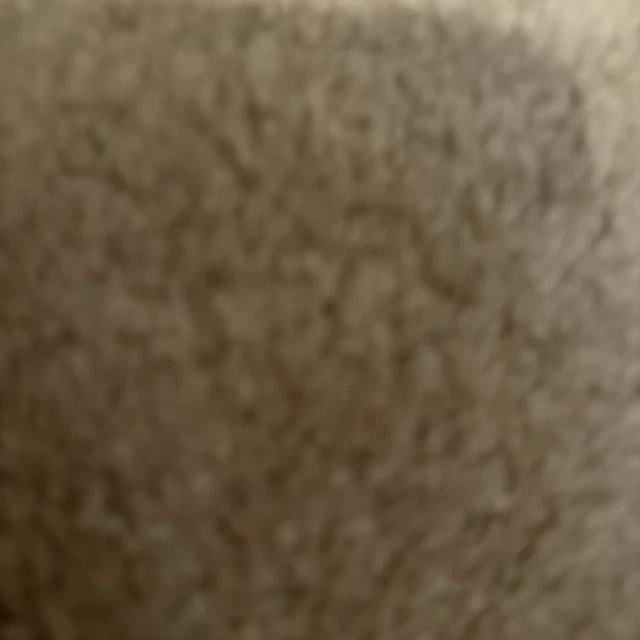 V RARE TRAINSPOTTING Vhs Ex Rental Vintage Video Tape Big Box £10.80 ...