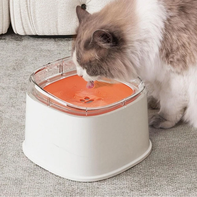 PET FLOATING WATER Bowl Dog Water Drinking Floating Water Dispenser ...