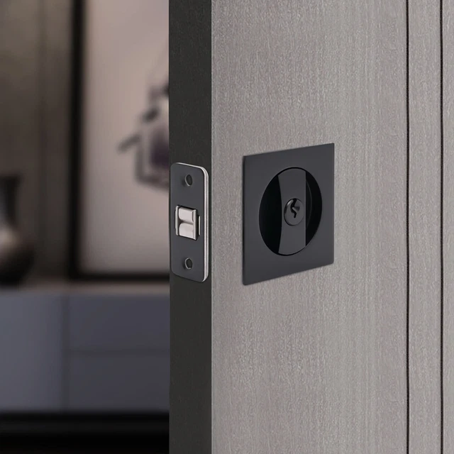 CAVITY SLIDING DOOR Lock Privacy Function Hidden Inside The Door $28.74 ...