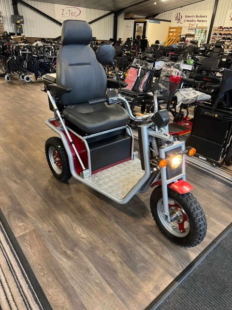 T.W.S - BEAMER Tramper - All Terrain Mobility Scooter £4,995.00 ...