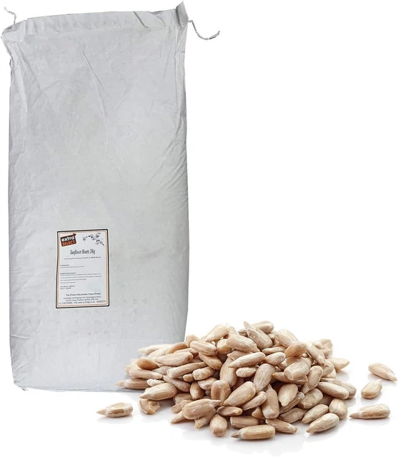 SUNFLOWER HEARTS BIRD Food 20Kg - Husk-Free, Bakery Grade, Premium Wild ...