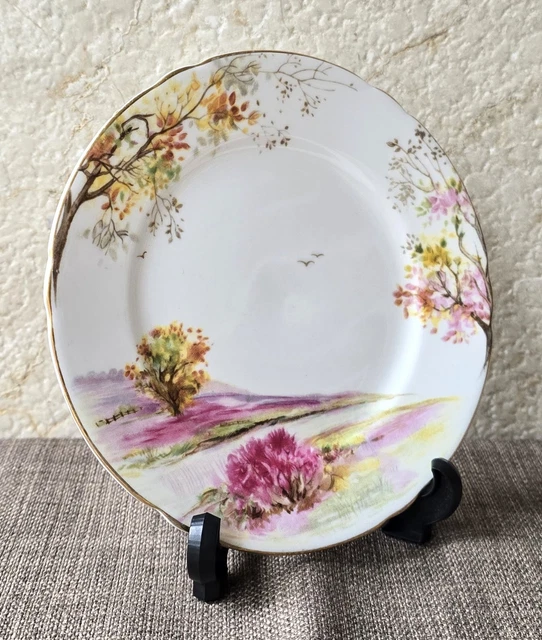 VINTAGE SHELLEY OLD Ireland 13657 Fine Bone China Side Plate Early ...