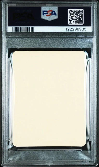 BLACKIE MARUMIYA SEAL PSA10 Graded Card Rare One Owner EUR 171,34 ...